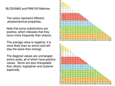 ppt sequence alignment powerpoint presentation free download id