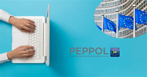 saf t reporting requirements in europe explained pikon sap consulting international