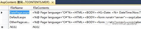 NET实现虚拟WebShell第 课之VirtualFile 董川民