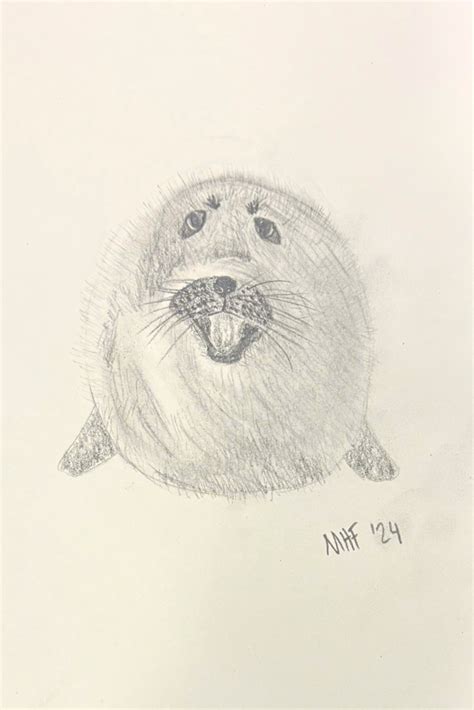 Beginners Guide Easy Cute Animal Drawings