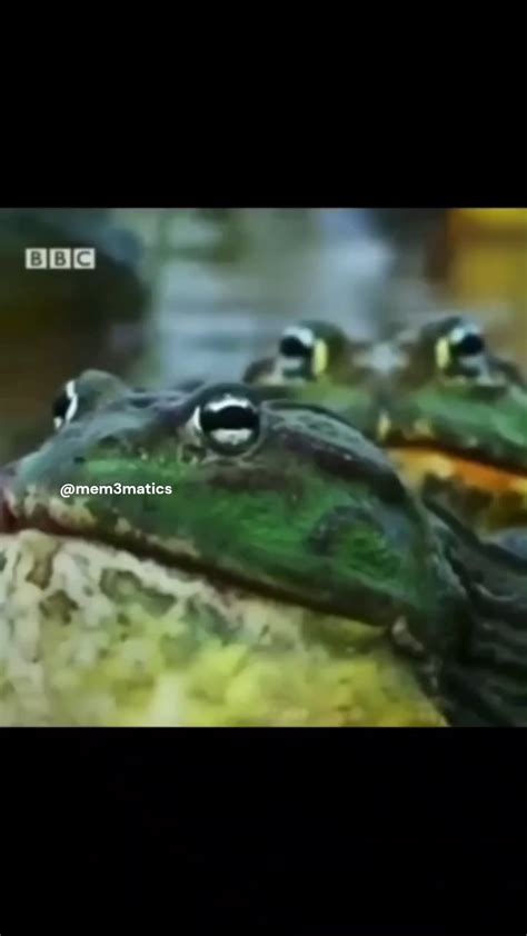 Maths Memes 193 Math Meme Umem3matics