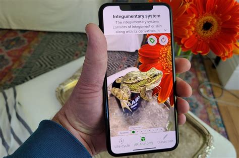 How To Use Apple S Augmented Reality Measure App In IOS CellularNews Hiswai