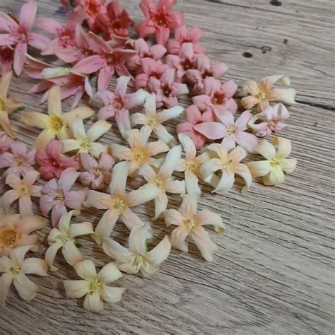 ទូរទស្សន៍ជាតិកម្ពុជា ទទក ទូរទស្សន៍ជាតិកម្ពុជា ទទក Tvk