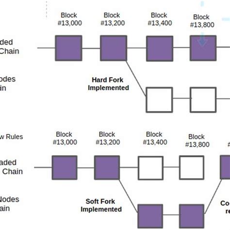Hard And Soft Fork Creation Download Scientific Diagram