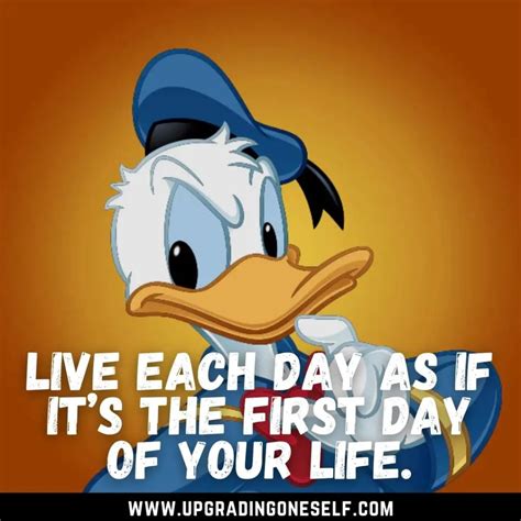 Top 10 Memorable Quotes From The Donald Duck For Motivation