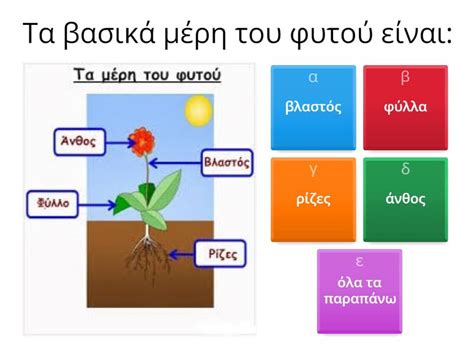 ΕΠΑΝΑΛΗΠΤΙΚΟ ΚΟΥΙΖ Quiz