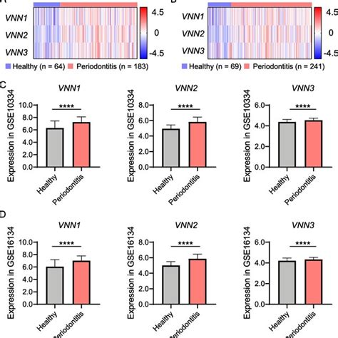 Validation Of Gene Expression Levels Of Vnns In Datasets A C Vnns In