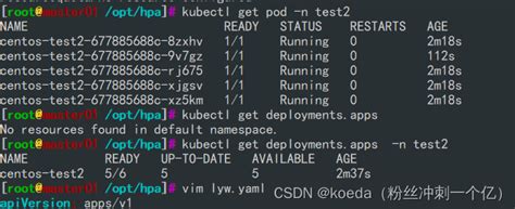 【k8s 云原生】k8s之hpa自动扩缩容、命名空间资源限制、容器抓包 hpa自动扩容 csdn博客