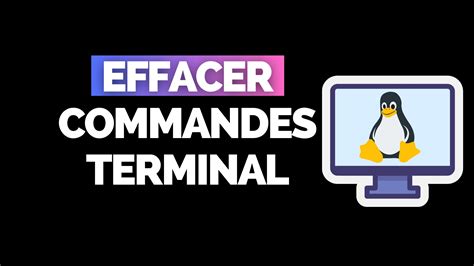 Effacer Nettoyer Commandes Du Terminal Linux 2 Solutions