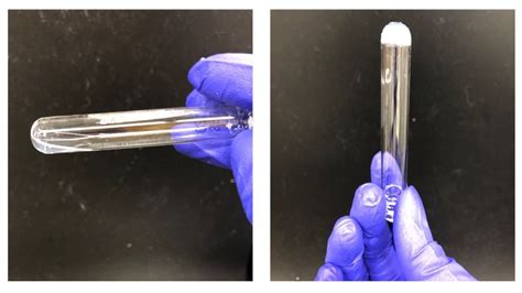 Fahimeh Tabatabaei On Linkedin Endotoxins Pyrogens Safety