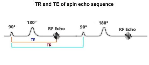 Tr And Te In Mri Tr Repetition Timete Echo Time And Image Contrast