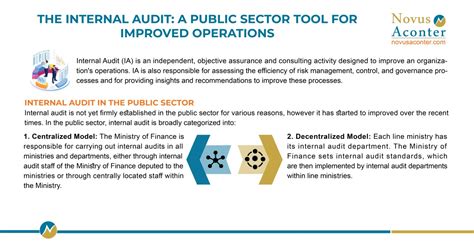 Public Sector Auditing