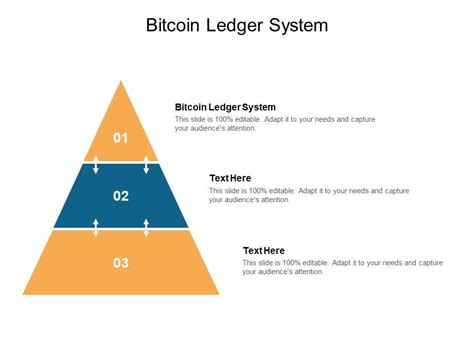 Bitcoin Ledger System Ppt Powerpoint Presentation Professional