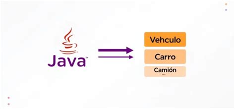 Comprender El Polimorfismo En Java Claves Y Aplicaciones