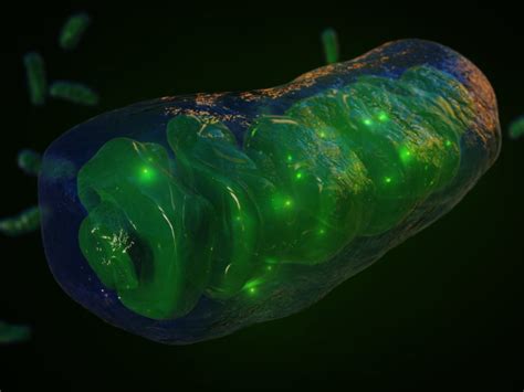 New Research On The Emergence Of The 1st Complex Cells Challenges Orthodoxy