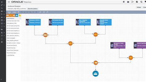 Responsys Campaign Management Marketing Oracle