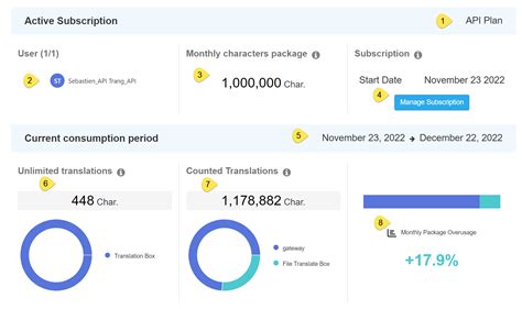 Usage Dashboard — Systran Translate Documentation