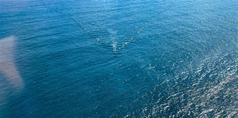 Uk Intel Points At Clashes Around “boyko Towers” In The Black Sea The