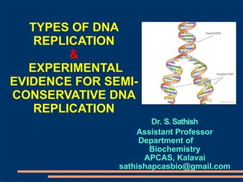 Types Of Dna Replication And Semi Conservative Replication Eepptx