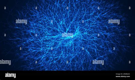Veins And Vessels Neural Net Structure Natural Root System Digital