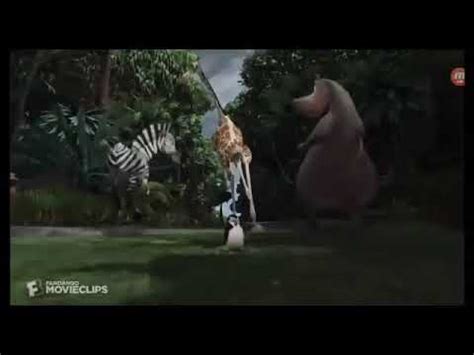 Madagascar Fossa Chase 2005 Youtube