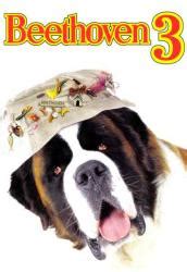 Beethoven 3 Beethovens 3rd 2000