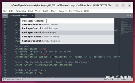 如何在linux中安装sublime Text 4 知乎