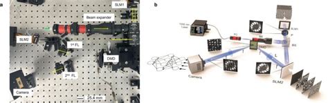 Multiplexed Orbital Angular Momentum Beams Demultiplexing Using Hybrid Optical Electronic