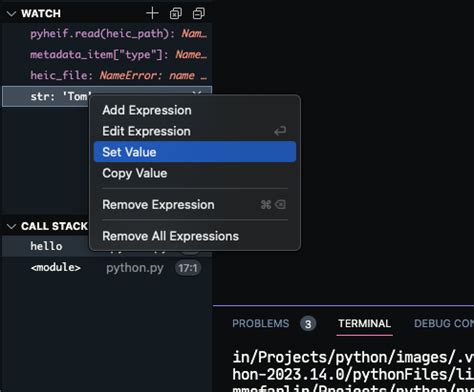 Use Visual Studio Code For Python Development Fastdot Hosting