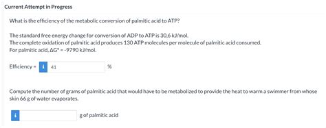 Solved What Is The Efficiency Of The Metabolic Conversion Of