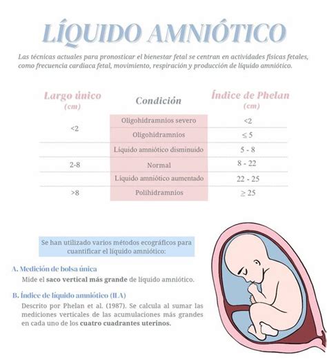 Líquido Amniótico Valores Según Largo único Y Phelan Varthies Udocz
