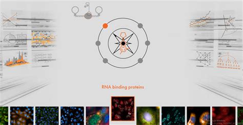 Turbocharging Phenotypic Drug Discovery With Ai The Case Of Targeting