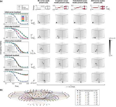 Quantum Processor Measurements Of Hot Corner Modes On The Staggered