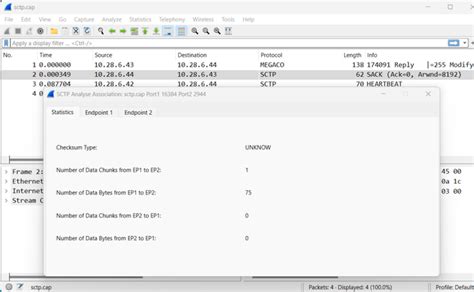 Sctp Windows In Wireshark Geeksforgeeks