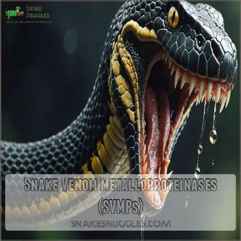 Snake Venom Types By Species A Deep Dive Into Deadly Venoms