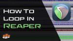 How To Loop In REAPER Step By Step Guide Pro Mix Academy