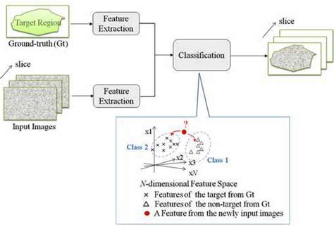 Figure 1 From Algorithm Selection Based On A Region Similarity Metric For Intracellular Image