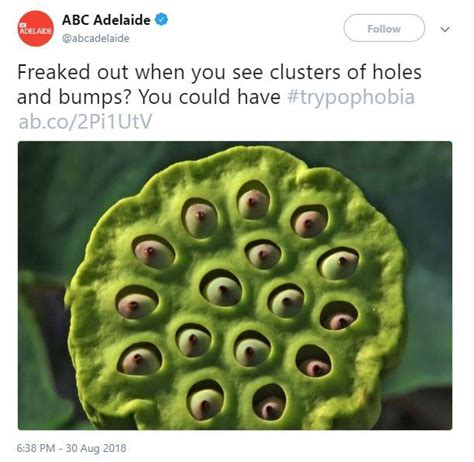 22 Trypophobic Images You Shouldnt Look At For Too Long