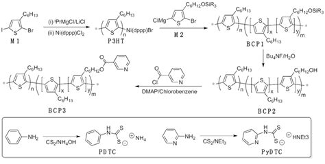 Scheme 1 Synthesis Of Block Copolymers And Capping Ligands Download