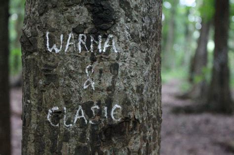 A Close Up Shot Of A Tree Trunk With The Words In White Paint Stock Image Image Of Texture