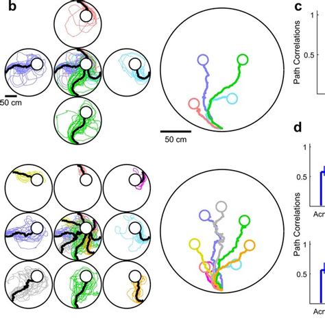 additional examples of spatial tuning in 4 and 8 start navigation