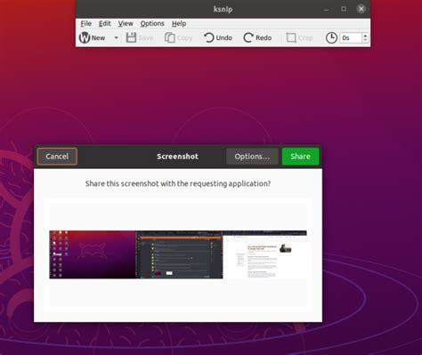 Generic Wayland Screenshots Always Selected On Ubuntu 2104 · Issue