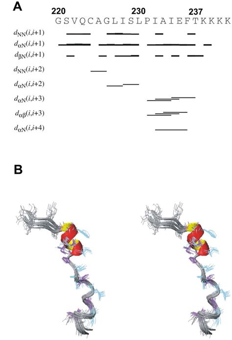 Sequence Plot Of Noesy Distance Constraints A And Stereo View Of 10