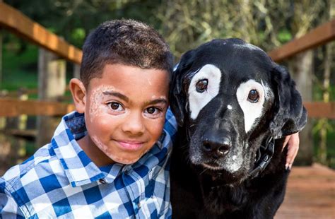 La Emocionante Fiesta De Despedida De Duke El último Día De Un Perro
