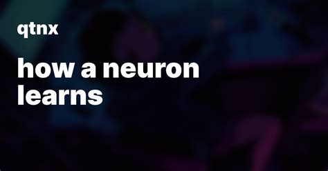 How A Neuron Learns Qblog