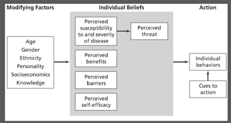 HDFS 3700 Final Flashcards Quizlet HDFS 3700 Final Flashcards Quizlet