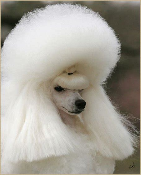 Keep One Drop One Page 130 Lpsg