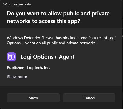 New Windows Security Firewall Dialog For Windows 11 Dev Build 25267 R Windows11