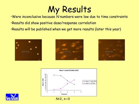 Ppt Optimization Of The Comet Assay For Use In Reptiles Powerpoint Presentation Id771293