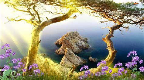 Top 999 Nature Animated Images Amazing Collection Nature Animated